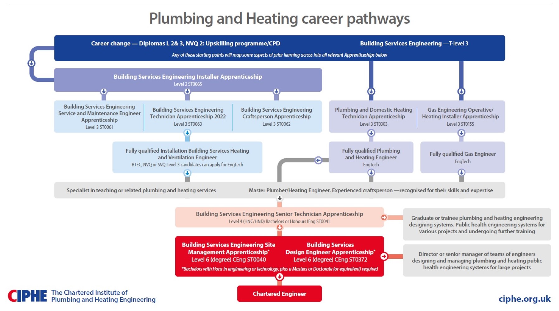 Apprentice | Training| CPD| Career Pathways| Apprenticeship